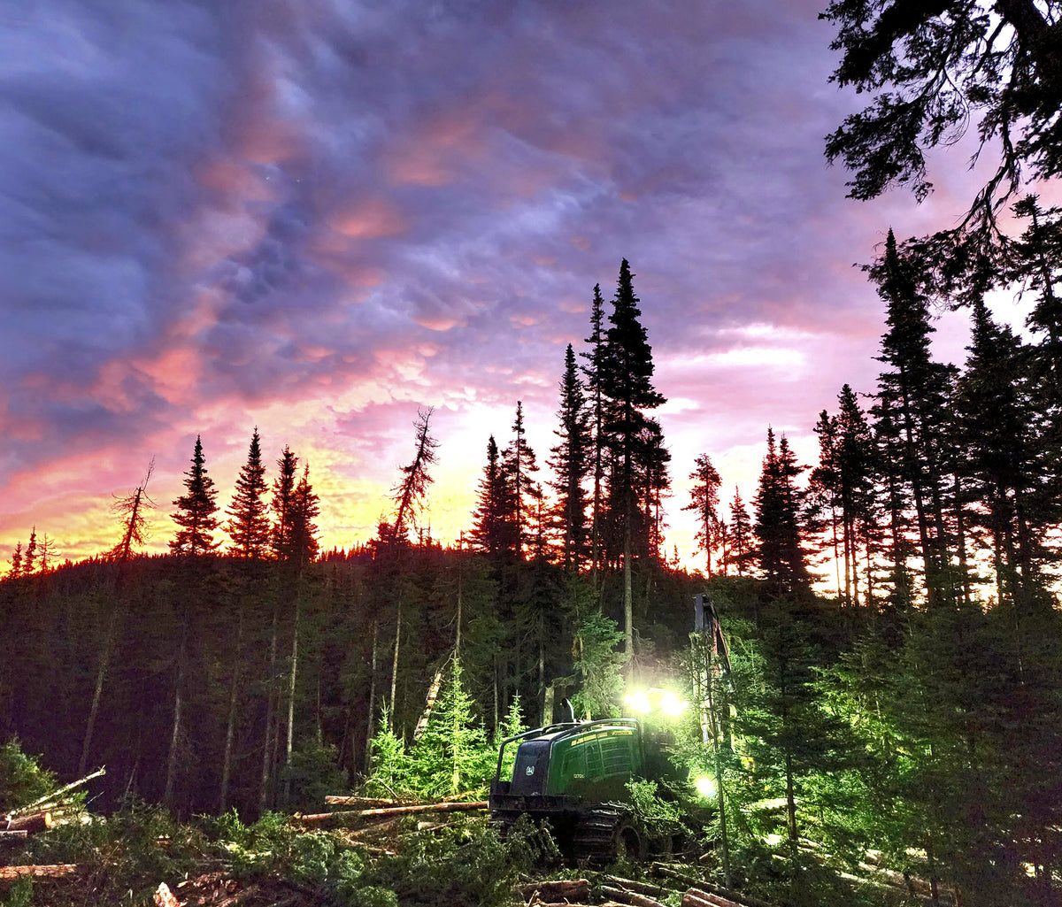 About Freya – Freya Logging